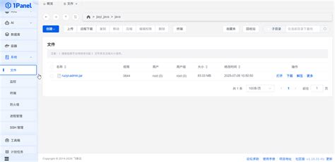 求解，java部署失败显示unable To Access Jarfile，按照一些文档中的步骤操作的 1panel 社区论坛