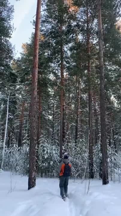 Вместо клубов предпочел прогулку по лесу Кто Пошли гулять Самара Вписки Самара Афиша