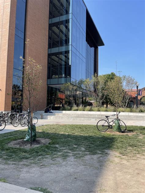 We Need More Bike Racks By The Cif R Uiuc