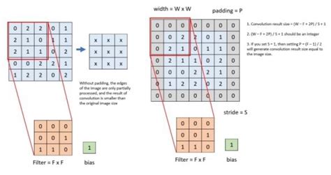 niraj kumar on linkedin 365daysofcode python machinelearning weekendvibes learning technology