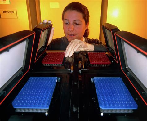Researcher Loading Sequencer With Human Dna Photograph By David Parker Science Photo Library