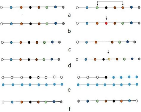 A Variable Neighbourhood Search Based Algorithm For The Transit Route