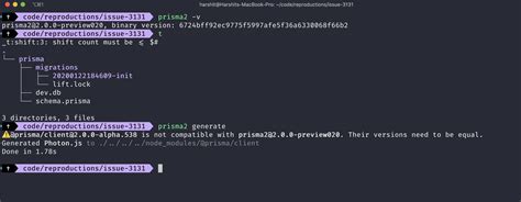Npm Install Prisma Client And Installation Via Prompt Behave Differently Issue