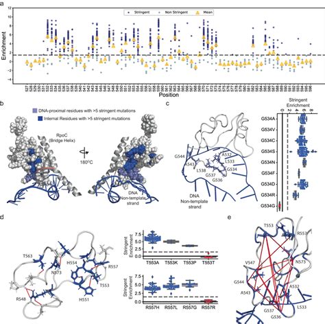 stringent mutations within the target a residue wise distribution of