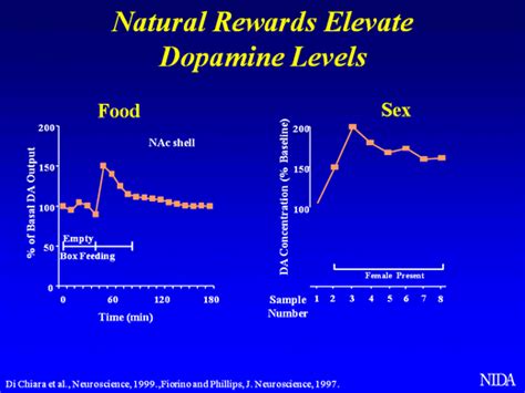 Dopamine Levels Graph Album On Imgur