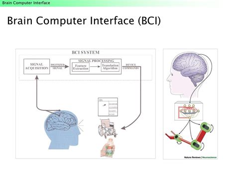 Electroencephalogram Eeg Ppt Download