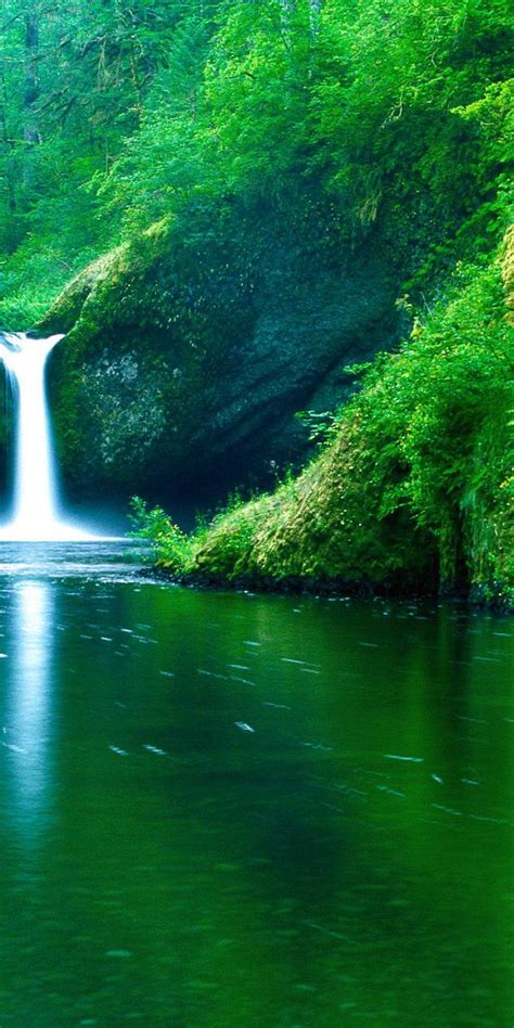 Завантажити шпалери на робочий стіл ПК Природа Земля Вода Зелень Водоспади Водоспад