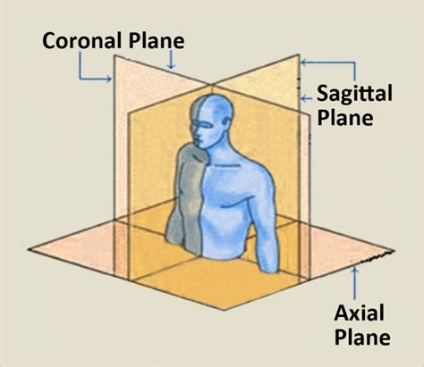 Mri Image Reconstruction Planes 3 Download Scientific Diagram