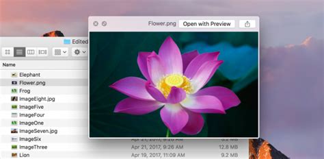 Apple S Quick Look Reveals Your Darkest Secrets The Mac Security Blog