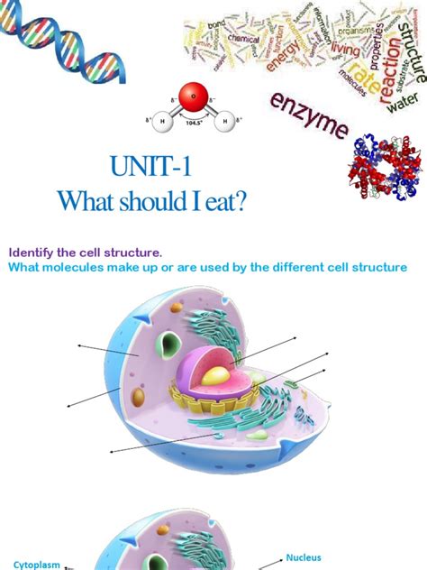 Science Pdf Carbohydrates Lipid