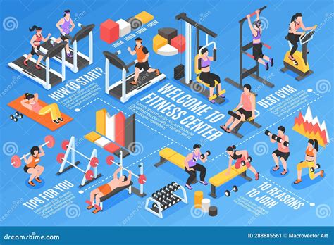 Isometric Gym Fitness Flowchart Stock Vector Illustration Of Training