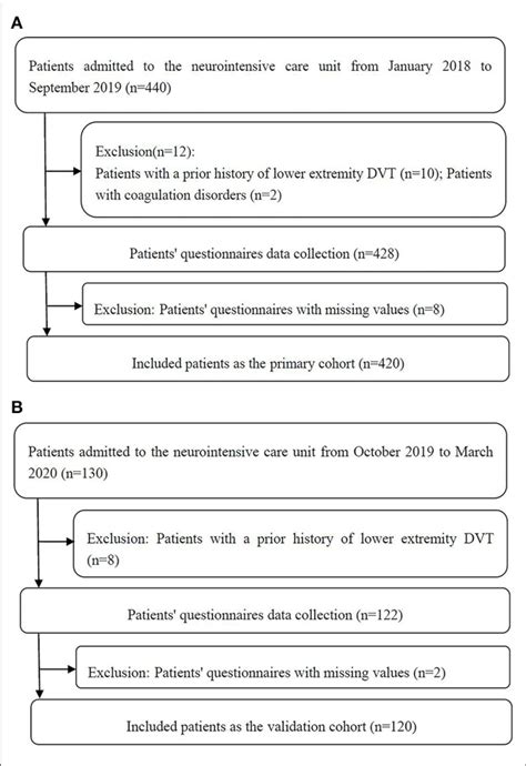 Flowchart Of The Primary Cohort A And Validation Cohort B Download Scientific Diagram