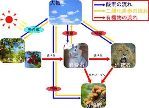 自然界の物質はどうやって循環しているの 理科の授業をふりかえる
