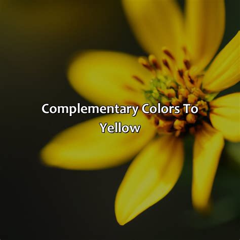 What Color Is Complementary To Yellow