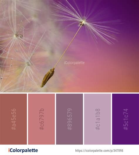 Hand Picked Best Color Palettes Collection Macro Photography Images