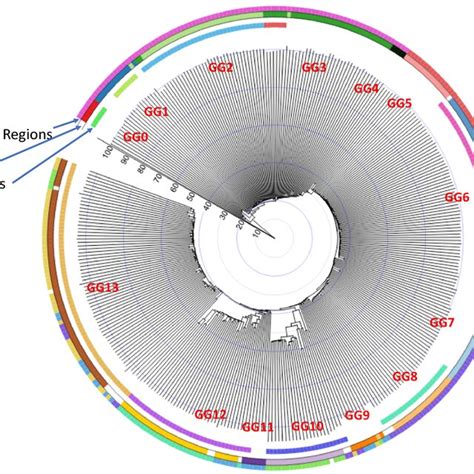 clustering pattern by genomic divergence based pca plotted for the