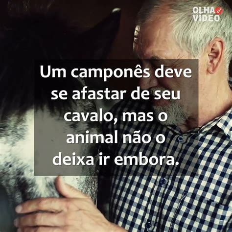 Um Fazendeiro E Seu Cavalo Os Filhos De Um Fazendeiro Querem Mandá Lo