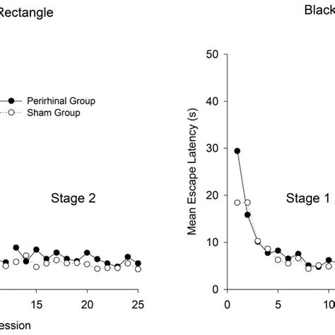 Diagram Of The Apparatus Used For Spatial Discrimination Thick Lines Download Scientific