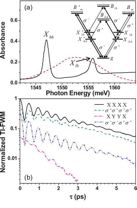 Figure 2 From Polarization Dependence Of Semiconductor Exciton And Biexciton Contributions To