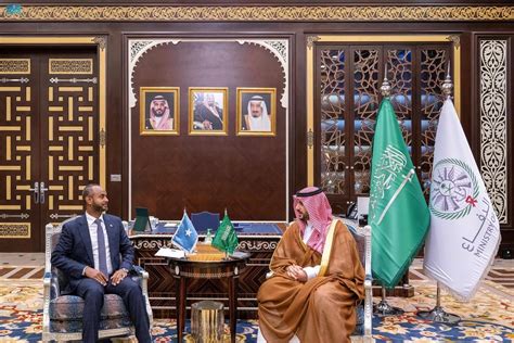 بالصور وزير الدفاع يلتقي وزير الدفاع الصومالي ويستعرضان العلاقات