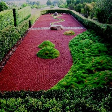 Korean Velvet Grass Outdoor Decor Outdoor Color Me