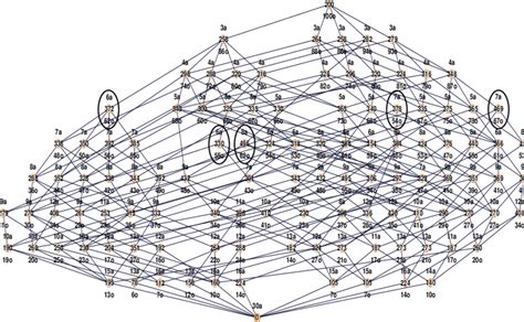 Concept Lattice Of P2 Data Set Download Scientific Diagram