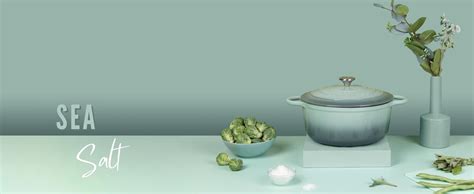 Cast Iron Dutch Oven With Lid Non Stick Ovenproof