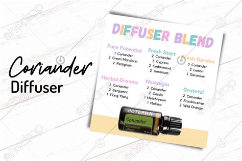 Coriander Diffuser Blend By Elouise Van Rooyen