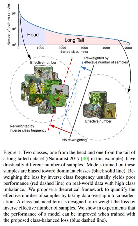 Class Balanced Loss Based On Effective Number Of Samples 医療系aiエンジニアの技術メモ