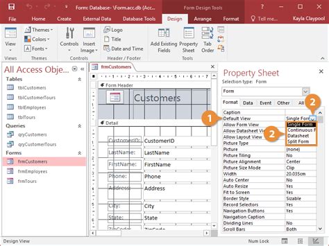 Work With Form Properties Customguide