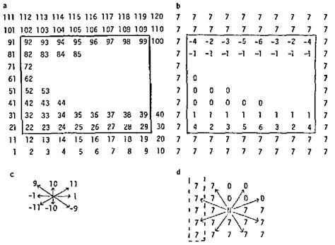 X Board Chessprogramming Wiki