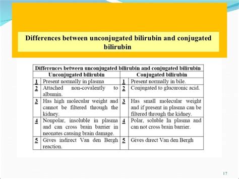 Bilirubin Part 1 Total Direct And Indirect Bilirubin