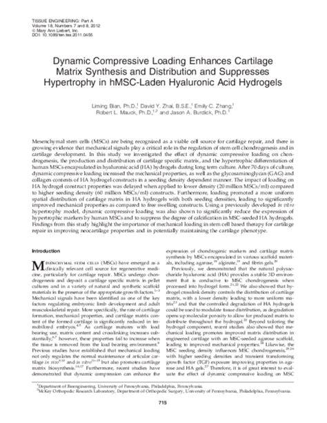 Pdf Dynamic Compressive Loading Enhances Cartilage Matrix Synthesis And Distribution And