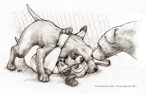 Tiny Package Says Hi By Veterinarian Hentai Foundry