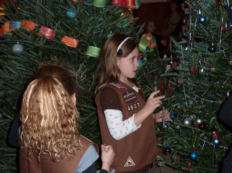 Girl Scouts Trim Trees For Charity Bethesda Md Patch