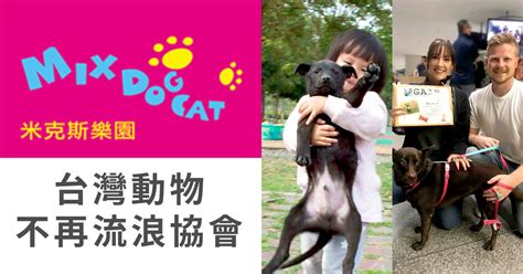 台灣動物不再流浪協會 線上捐款平台