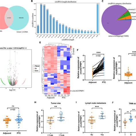 Identification Of Circagtpbp1 In Ptc A Overlap Of Circrnas In Rna Seq Download Scientific