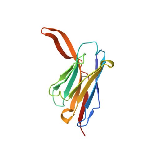Rcsb Pdb 8tpa H1 Hemagglutinin Nc99 In Complex With Medial