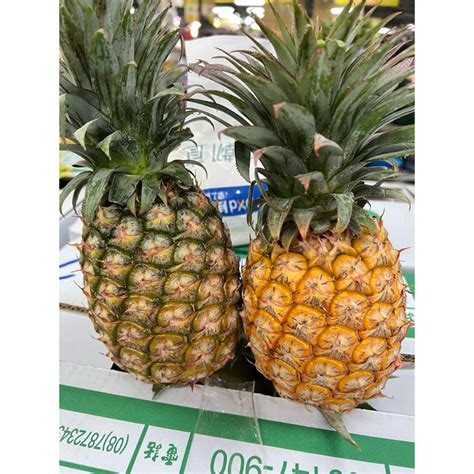 「我是鳳梨爸爸」金鑽蜜鳳梨🍍甜滋滋蜜糖囗感 屏東潮州精選金鑽鳳梨🍍 蝦皮購物