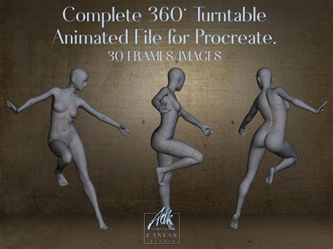 Procreate Body Procreate Template Procreate Animation File Female Anatomy Procreate Rotation Etsy