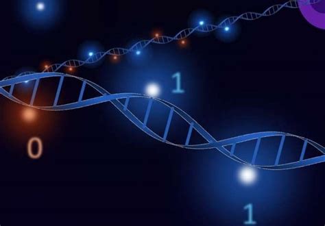 Faster Rewritable Data Storage Made Possible By Dna Lego Bricks Science News Tasnim News Agency
