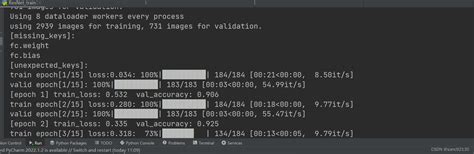 Attempted To Set The Storage Of A Tensor On Device Cpu To A Storage