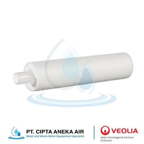 Purtrex Cartridge Filter Veolia