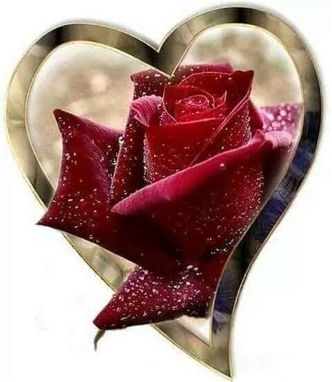 Пин от пользователя Ghayur на доске Beautiful Flowers And Roses Букет