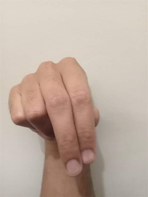 Asl Object Detection Model By Dip Project