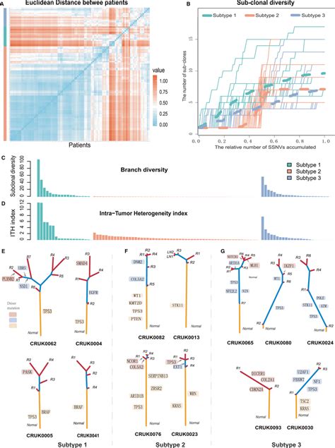 Subtyping Nsclc Patients Using Genomic Evolutionary Patterns A The Download Scientific