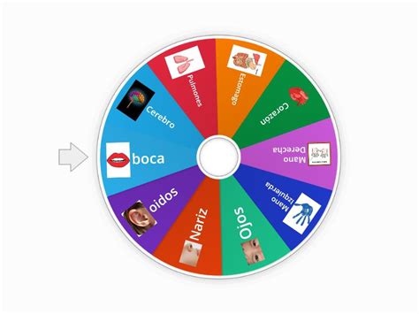 Partes Del Cuerpo Random Wheel