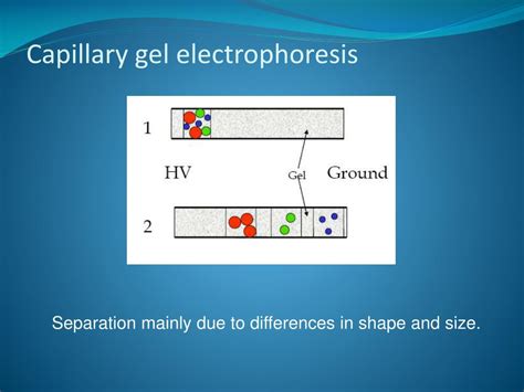 Difference Between Capillary Electrophoresis And Gel