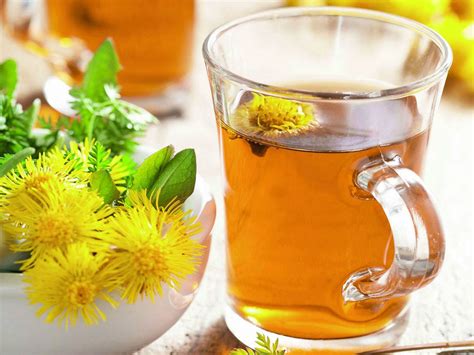 Que Planta Medicinal Sirve Para La Tos Seca Plantă Blog