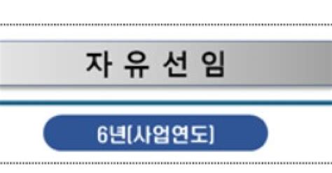 삼성전자 등 시총 100대 기업 중 23곳 내년 감사인 바뀐다